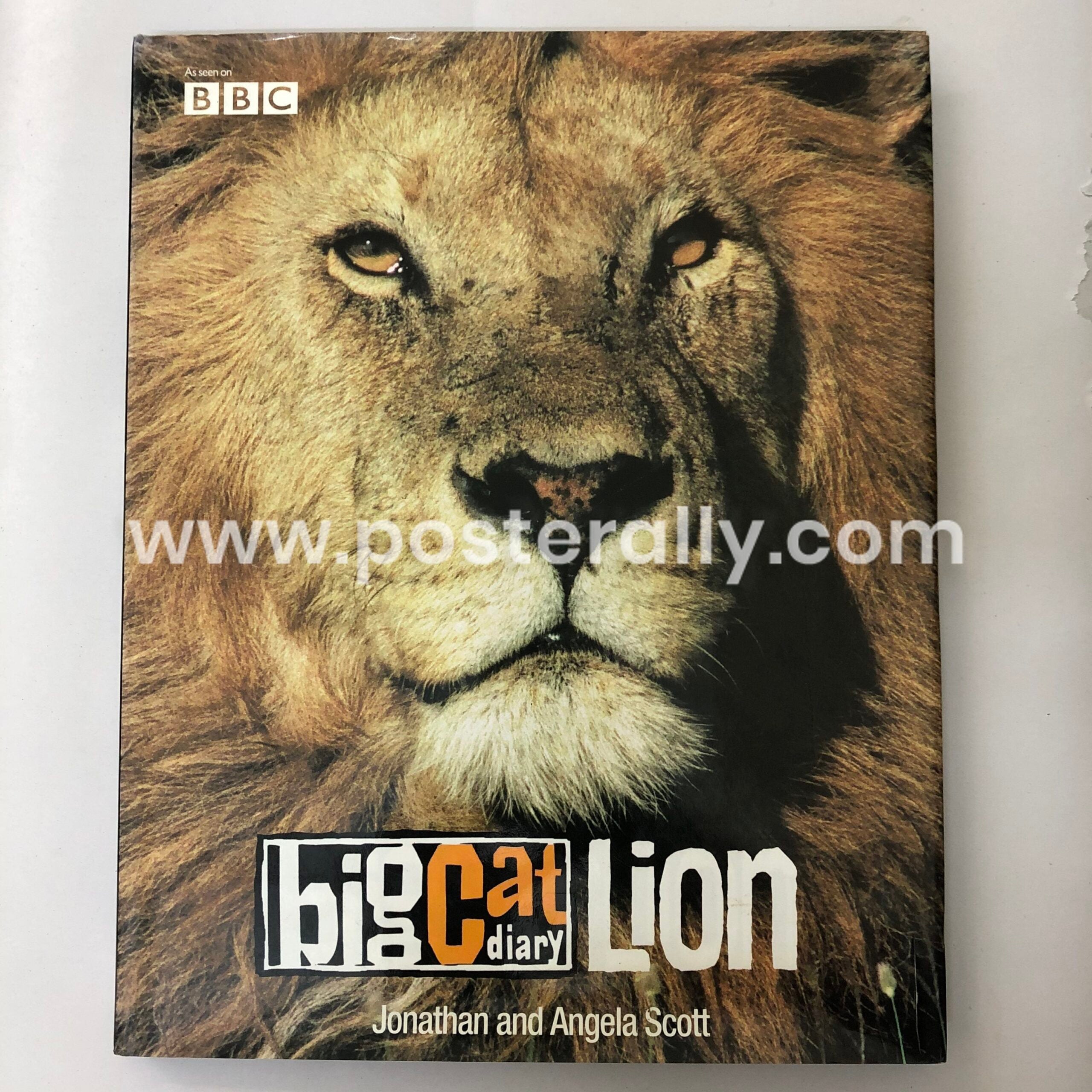 Big Cat Diary: Lion by Jonathan and Angela Scott – Posterally Studio