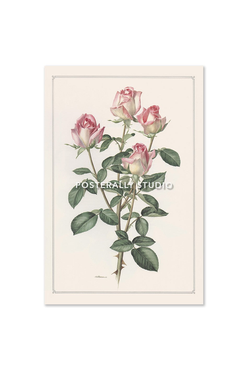 Princess De Monaco – Posterally Studio