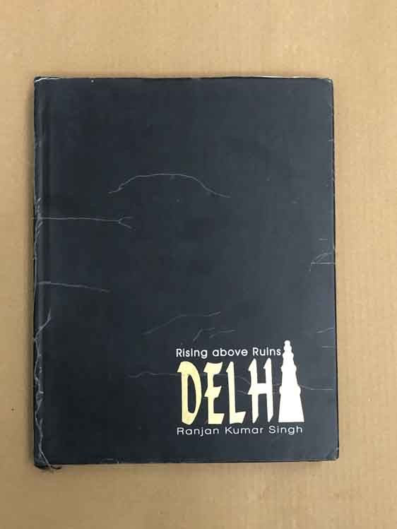 Delhi : Rising Above Ruins by Ranjan Kumar Singh – Posterally Studio